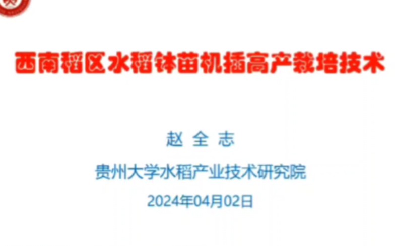 西南稻区水稻钵苗机插高产栽培技术