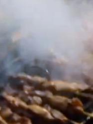 女子把中国烧烤摊摆到英国街头