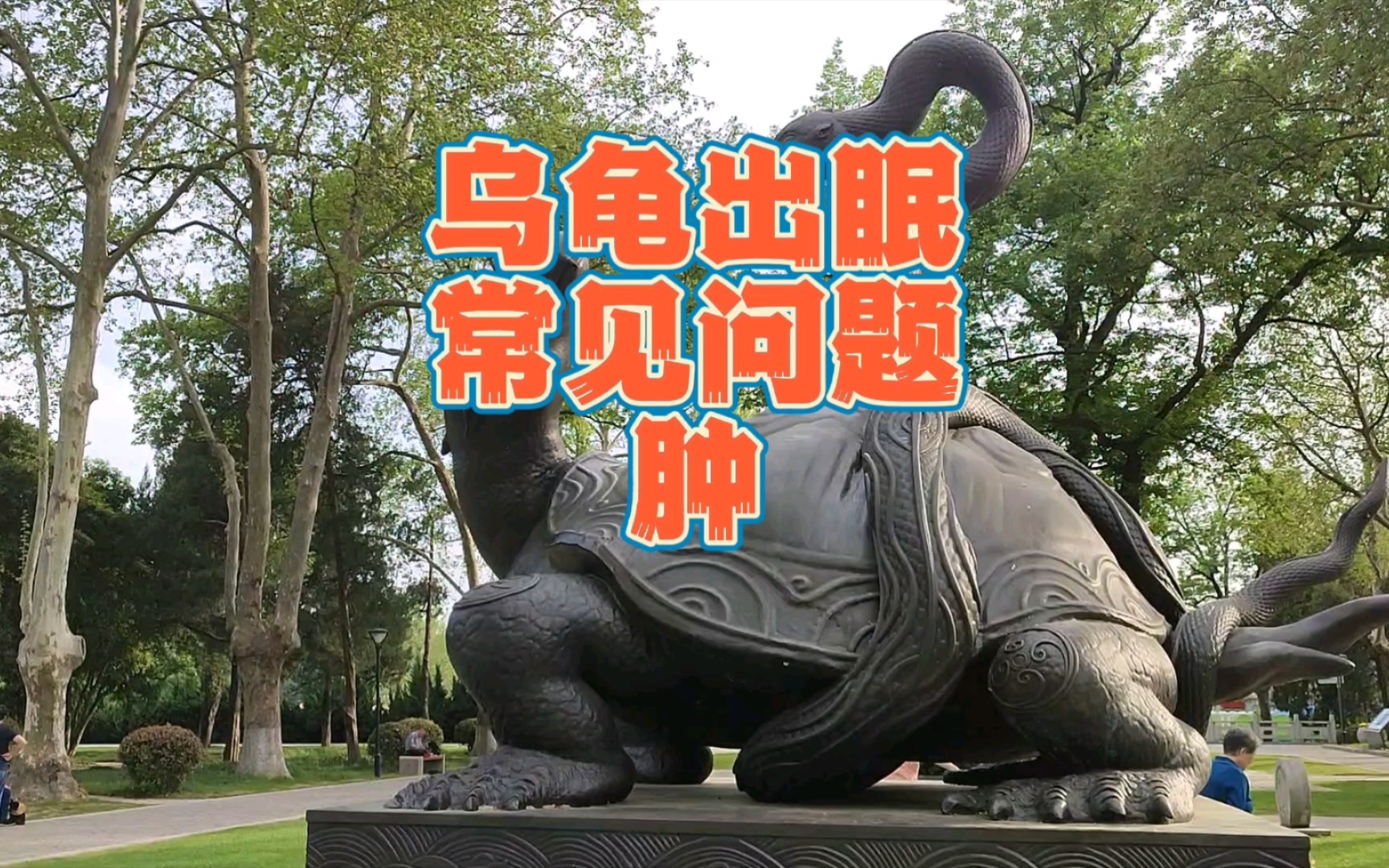 乌龟后腿肿了怎么回事?乌龟腿肿的表现和形成原因,乌龟出眠常见问题,...