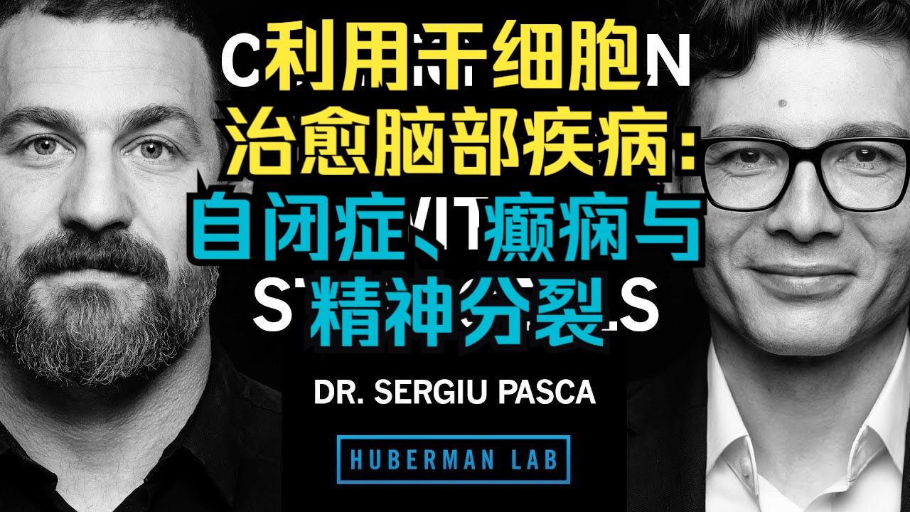 利用干细胞治愈自闭症、癫痫与精神分裂症 | Sergiu Pașca做客...