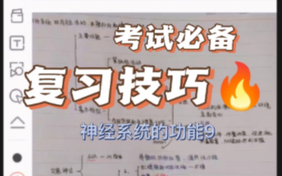 生理第十章神经系统的功能9 自主神经系统
