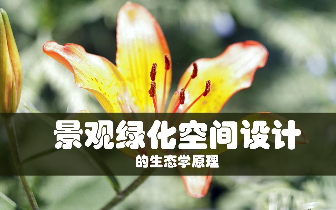 景观绿化空间设计的生态学原理