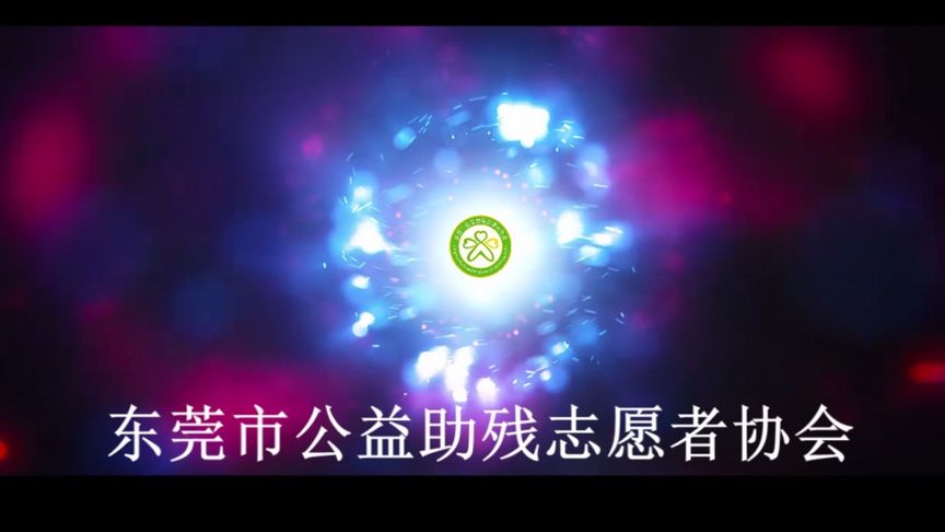 东莞市公益助残志愿者协会2019年度工作总结