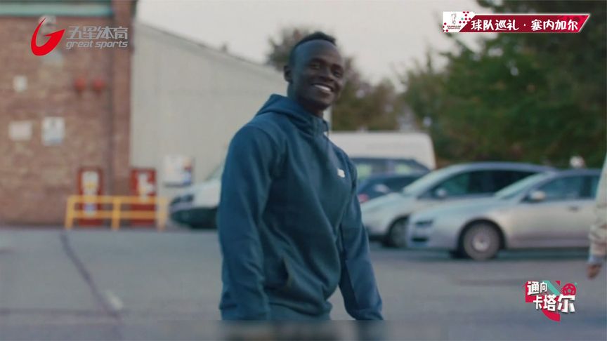 世界杯32强A组塞内加尔