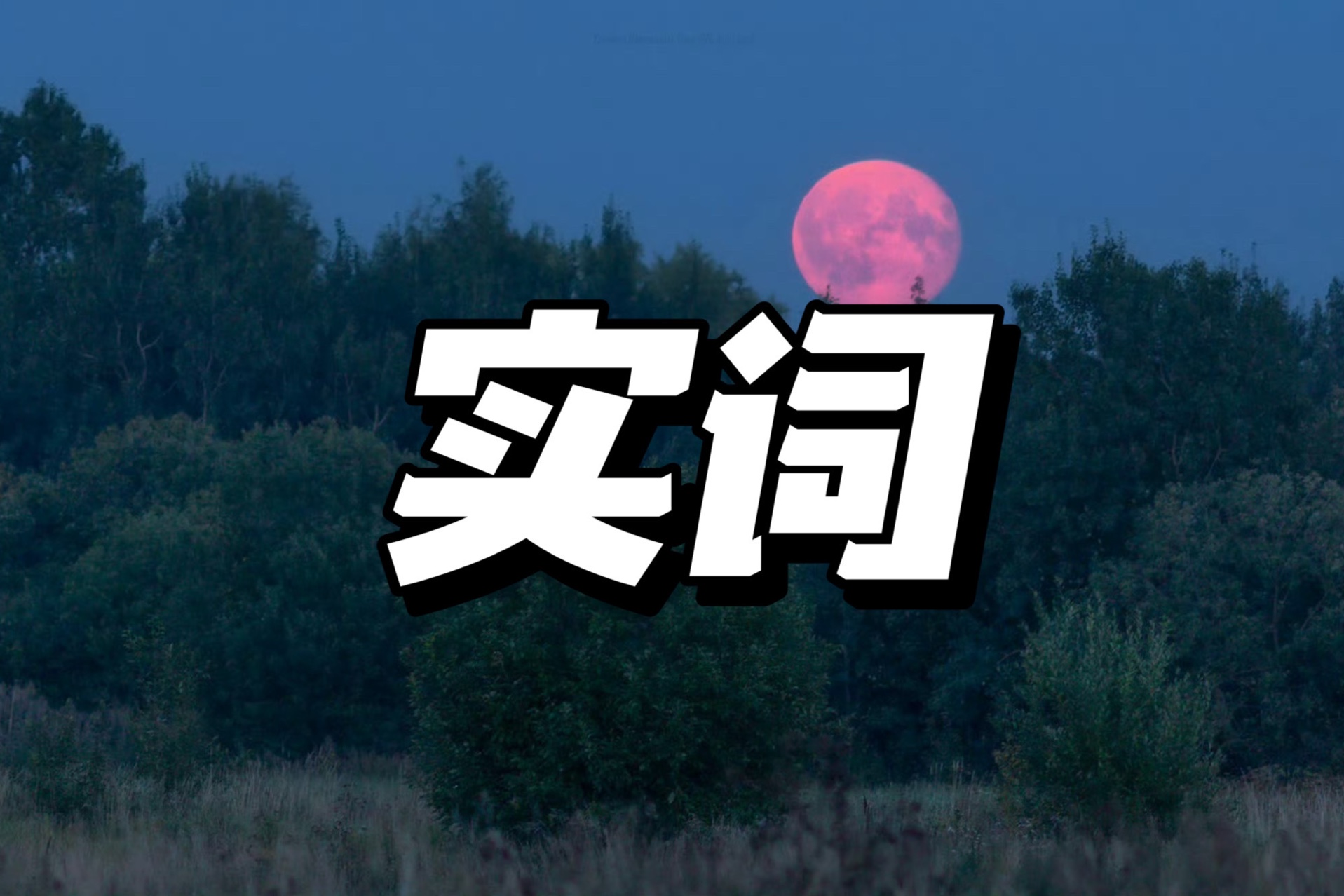 一轮复习|理解常见实词在文言文中的含义(新高考文言文专题)