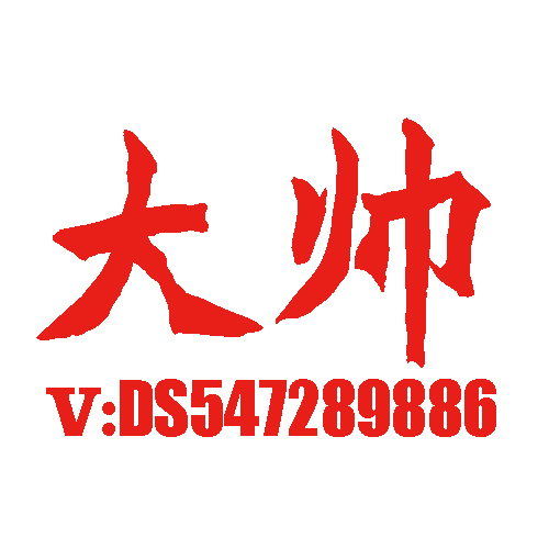 大帅模玩 