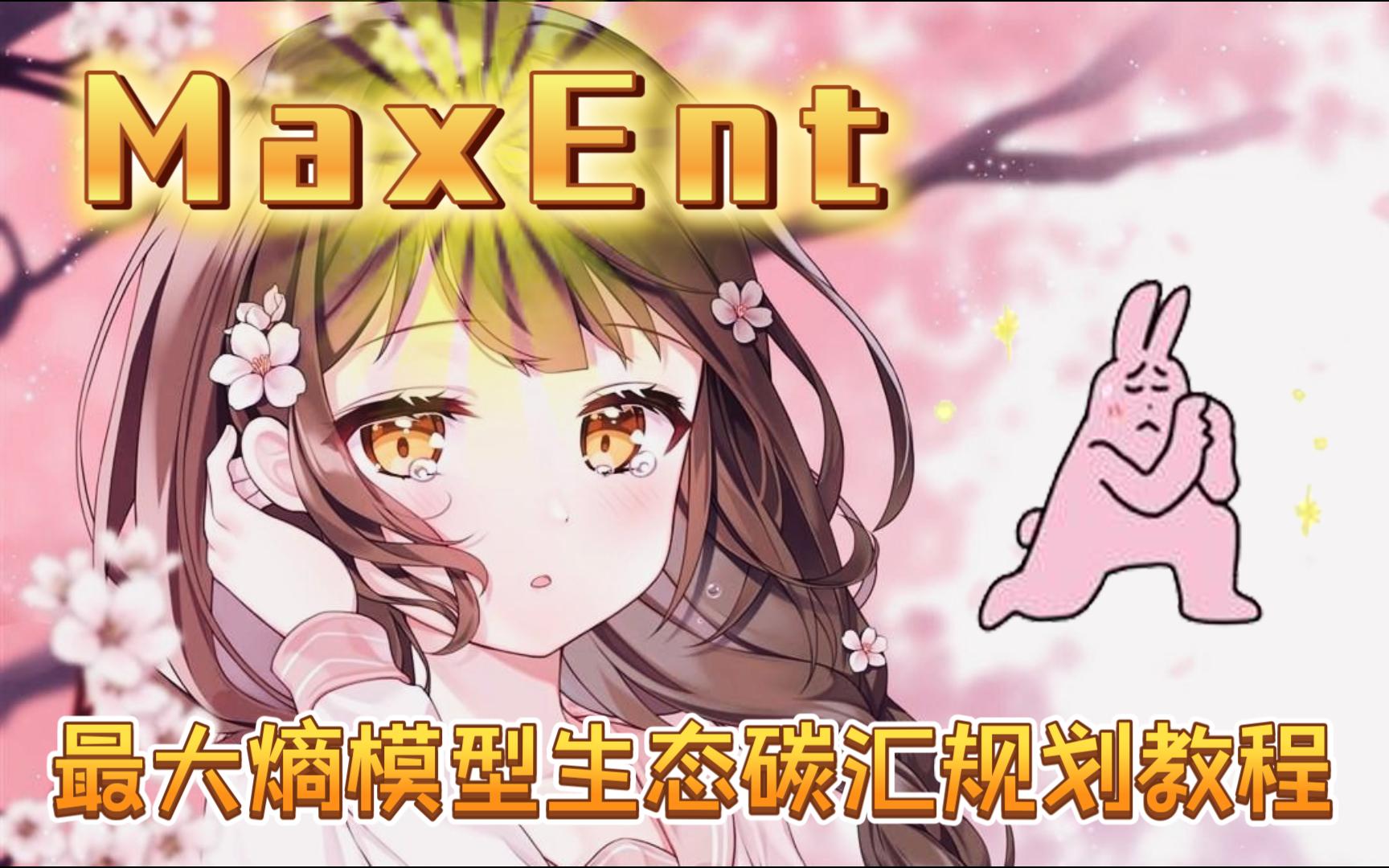 MaxEnt最大熵模型生态碳汇规划教程