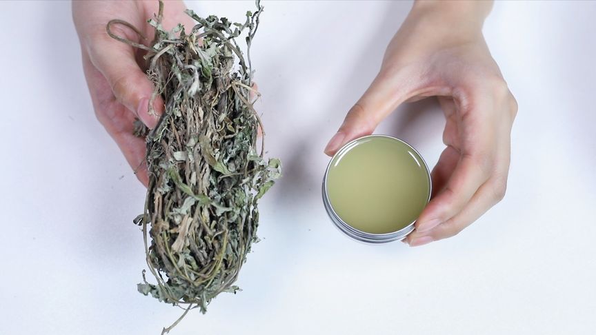 自制艾草精油按摩膏,比艾草贴方便,还有养生保健的功效