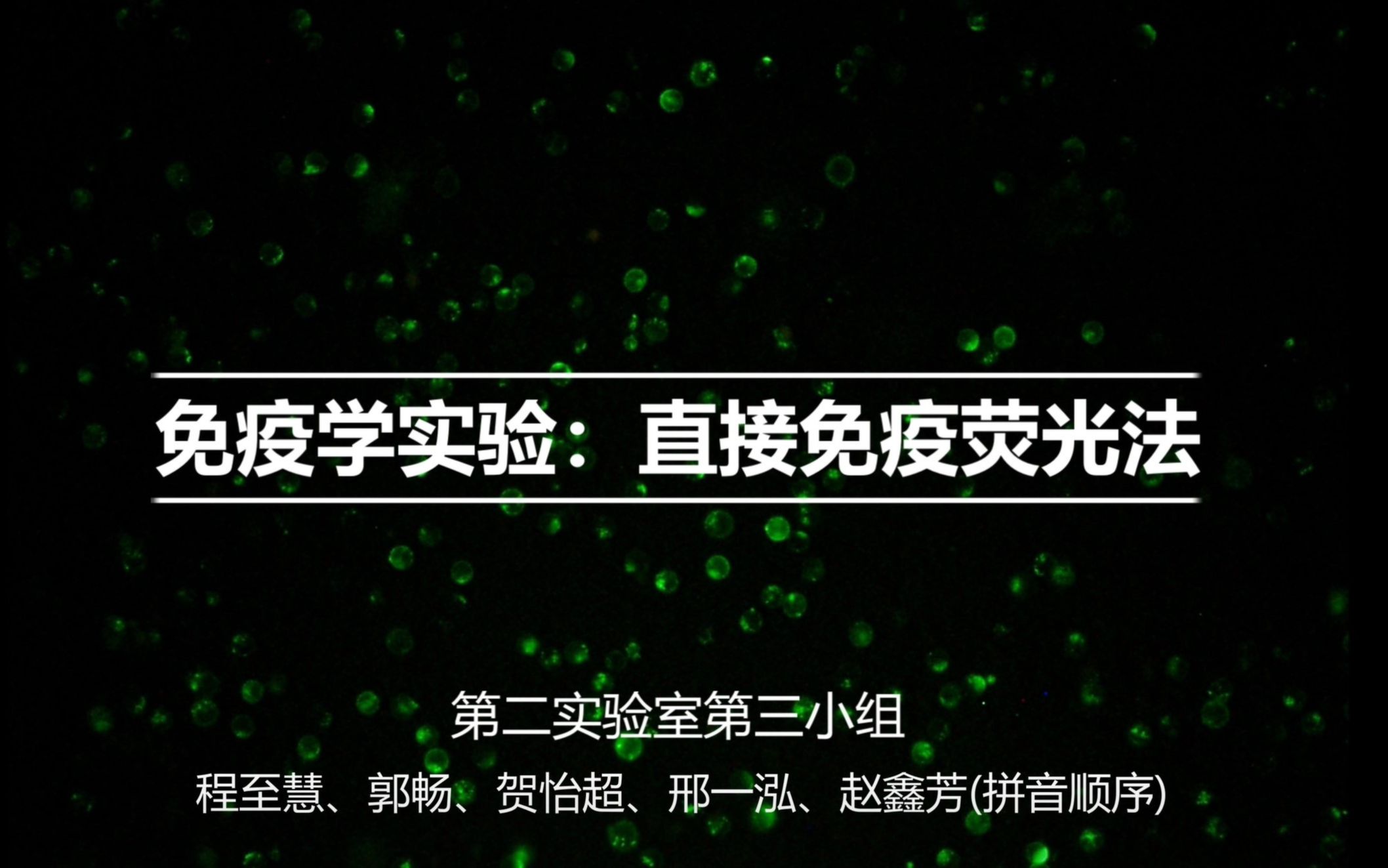 【免疫实验】直接免疫荧光法鉴别B淋巴细胞膜表面免疫球蛋白