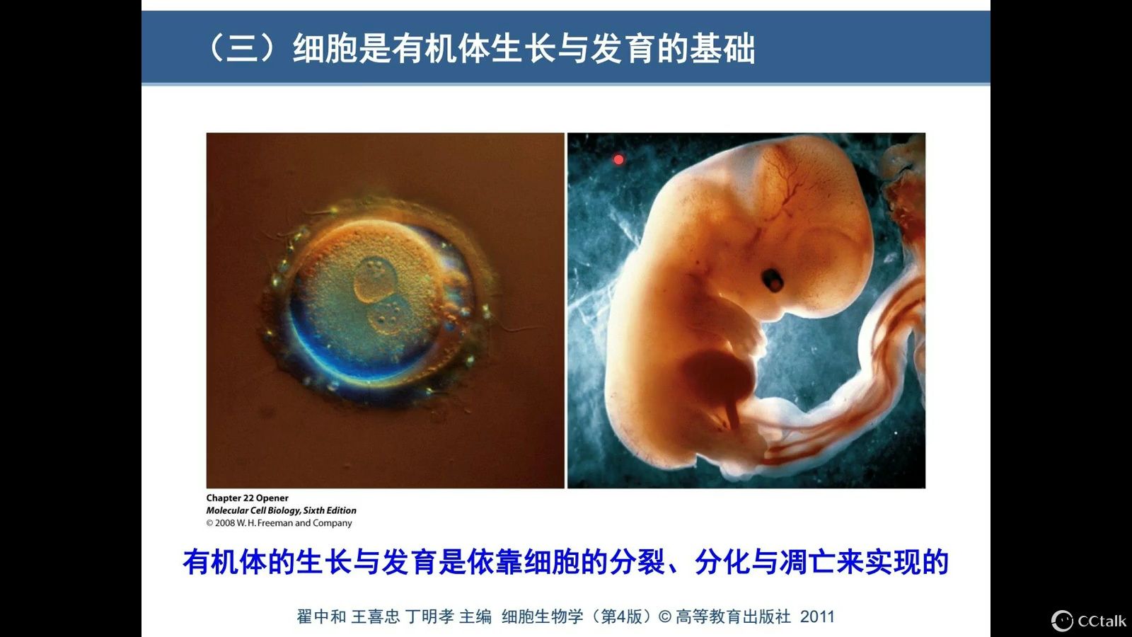 中科院952细胞生物学 第二章 细胞的统一性与多样性