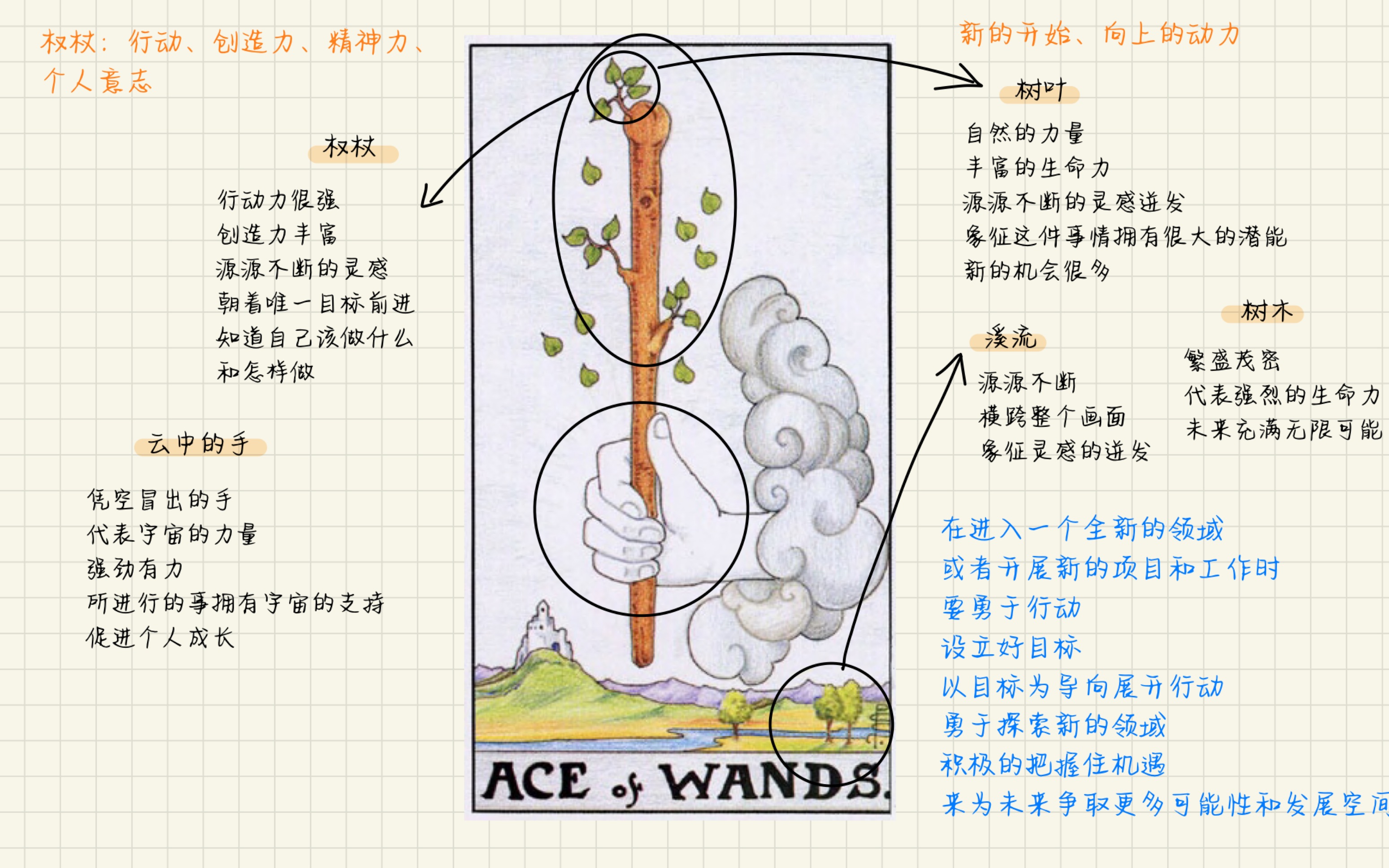 【从0开始的塔罗牌教学】权杖一正位逆位解读