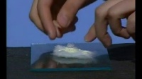 第三章+过氧化钠与二氧化碳的反应+吹气生火的视频