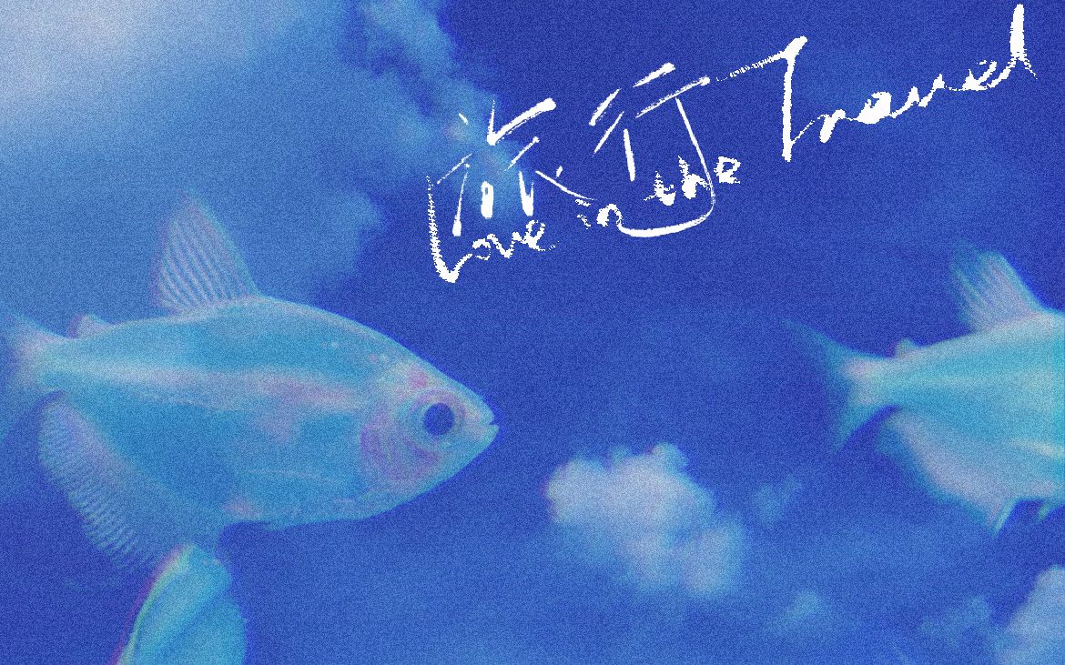 TF家族旅行MV