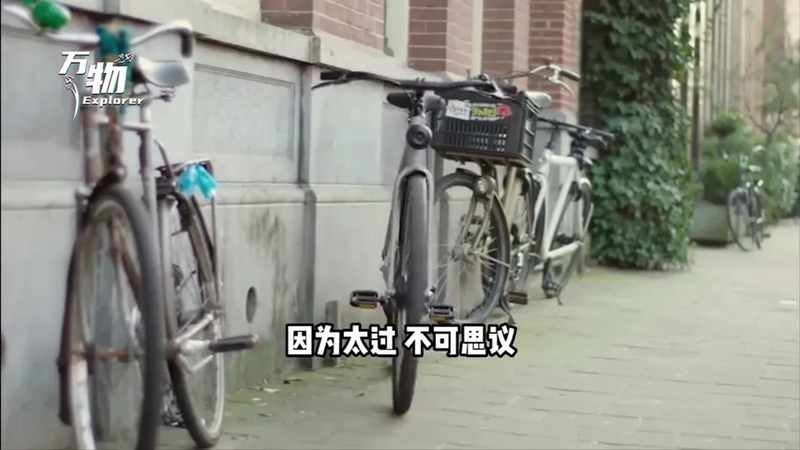杭州牛人造出全自动自行车,吊打电动车堪比特斯拉,解决尾气污染
