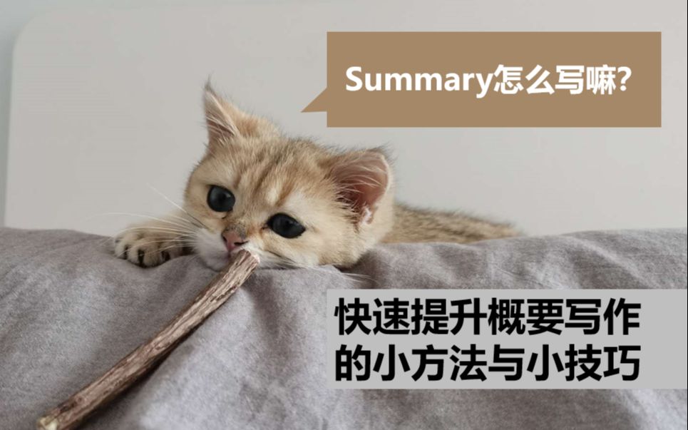 【上海高考】Summary/概要写作超快得分法!