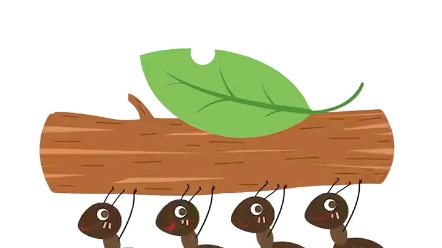 蚂蚁是如何分工的？