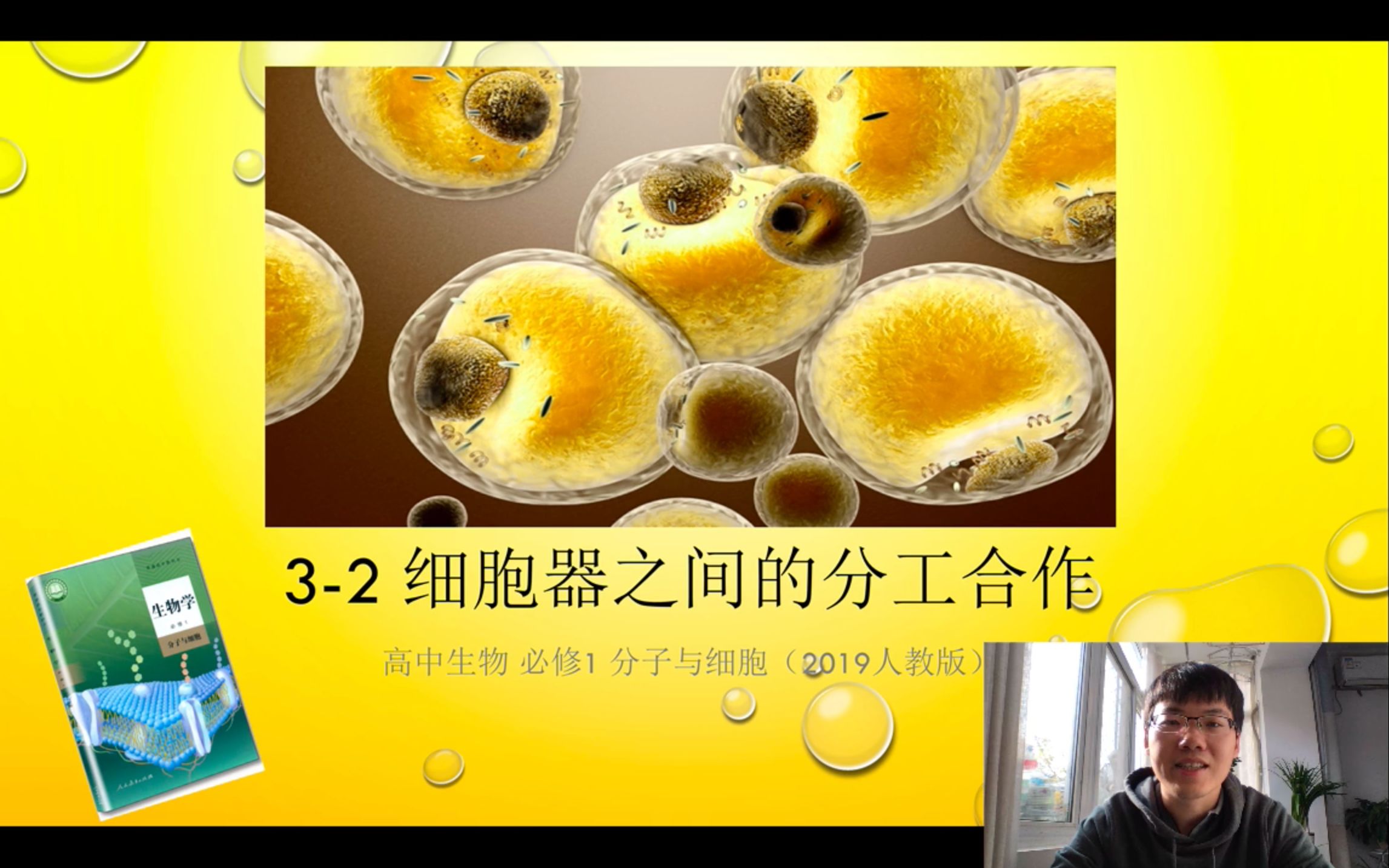 【生哥讲生物】必修1 3-2 细胞器之间的分工合作——高中生物