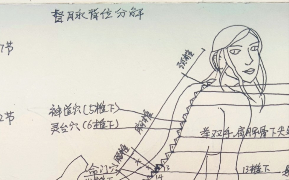 自学中医倪海厦针灸第三课,胸中线取穴,膻中穴取穴