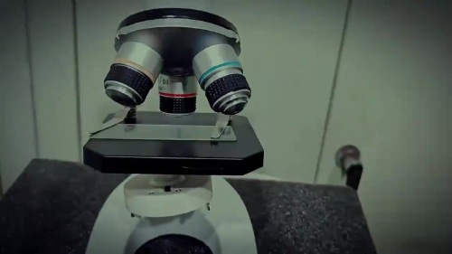 在显微镜前探秘,科技如何揭开微观世界的神秘面纱?