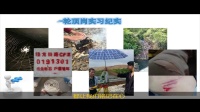 顶岗实习2016新年贺岁