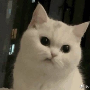 安琰雯 