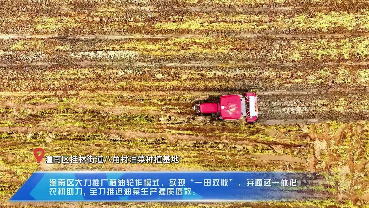 ...实现"一田双收",并通过一体化农机助力,全力推进油菜生产提质增效。