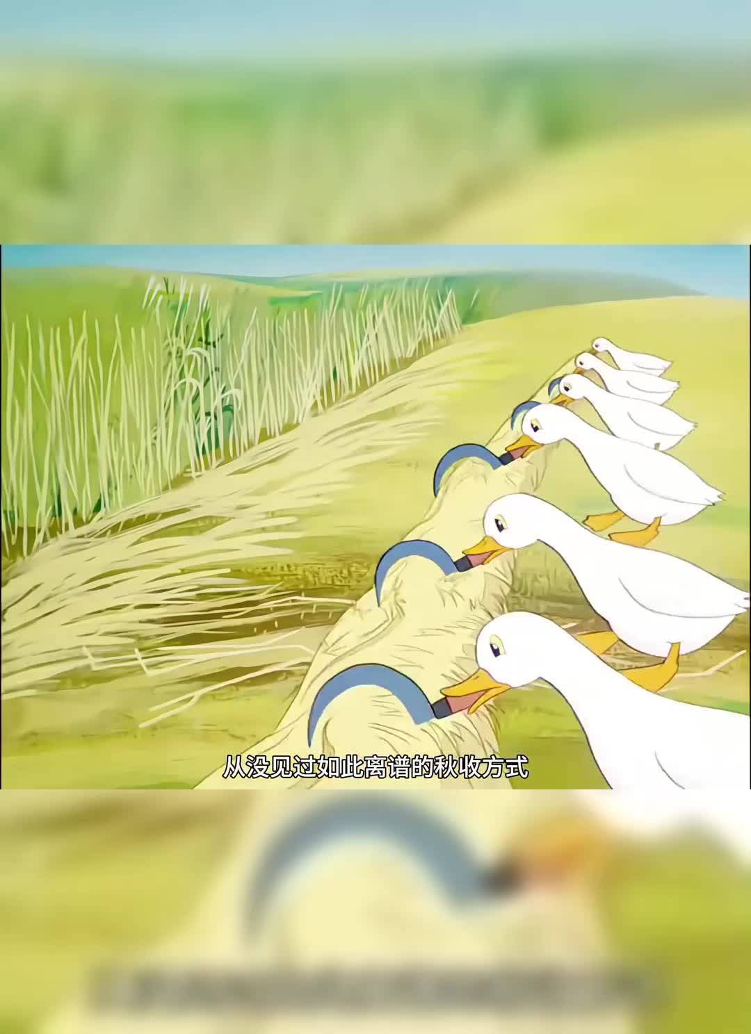 动物总动员,上演流水线秋收的新模式