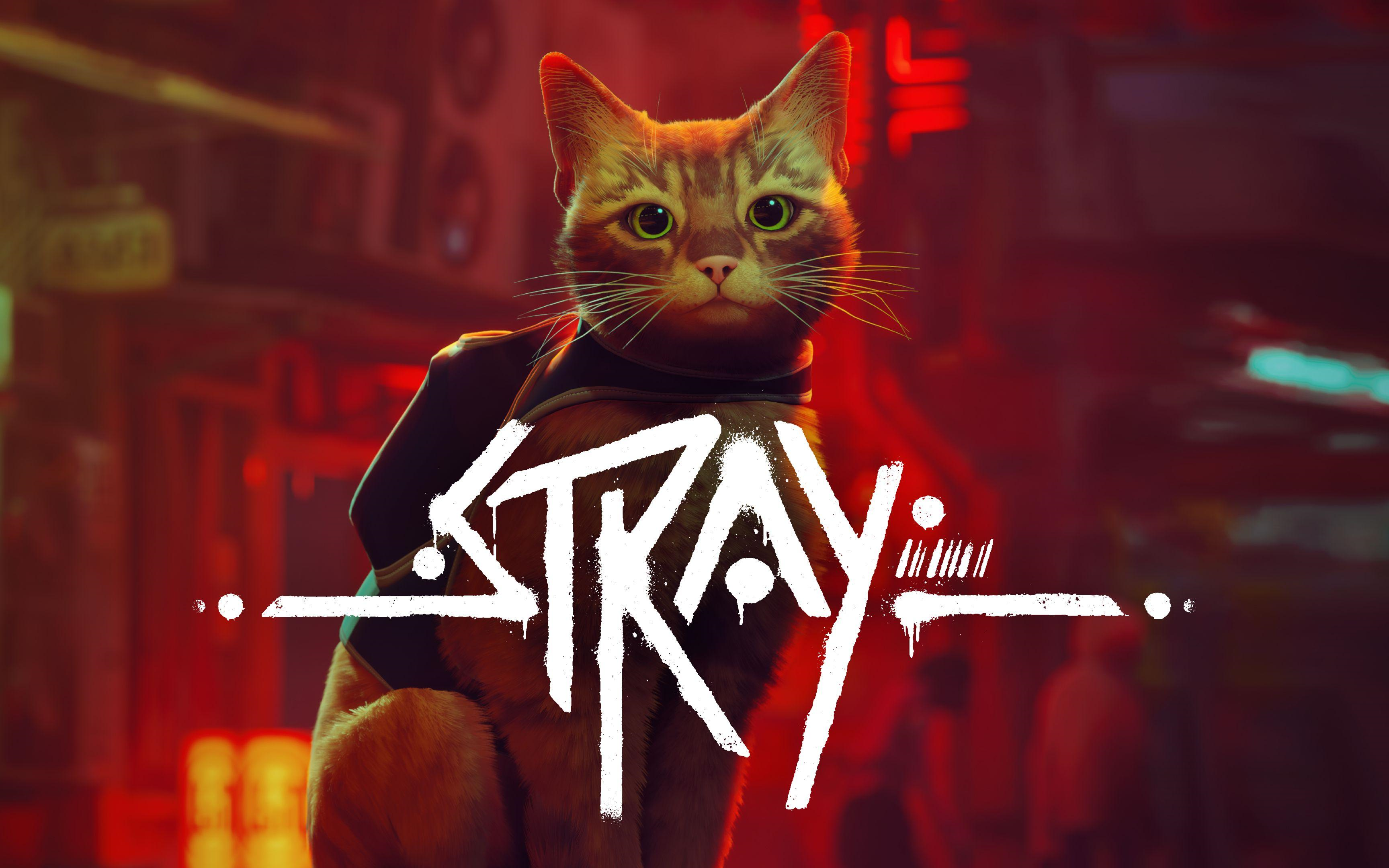 【迷失Stray】流浪猫模拟器 全流程攻略游戏实况_哔哩哔哩bilibili_游戏...