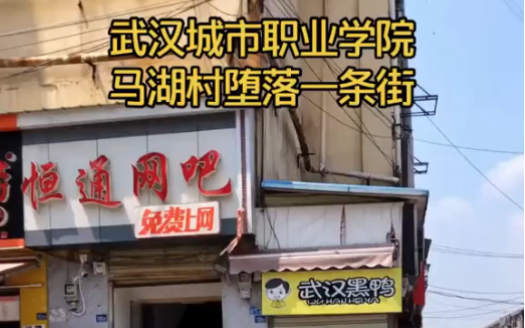 武汉城市职业学院北校区马湖新村商业堕落街,往后走便是地铁7号线...