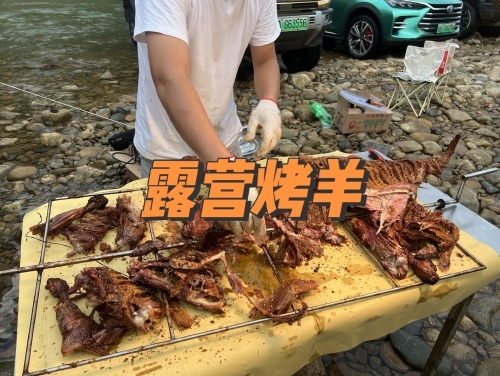 组织比亚迪唐方程豹户外烤羊露营活动!
