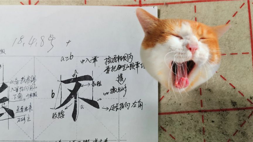 “不”华老师也教孩子们不字的规范字结构,写法。听听硬笔的课堂