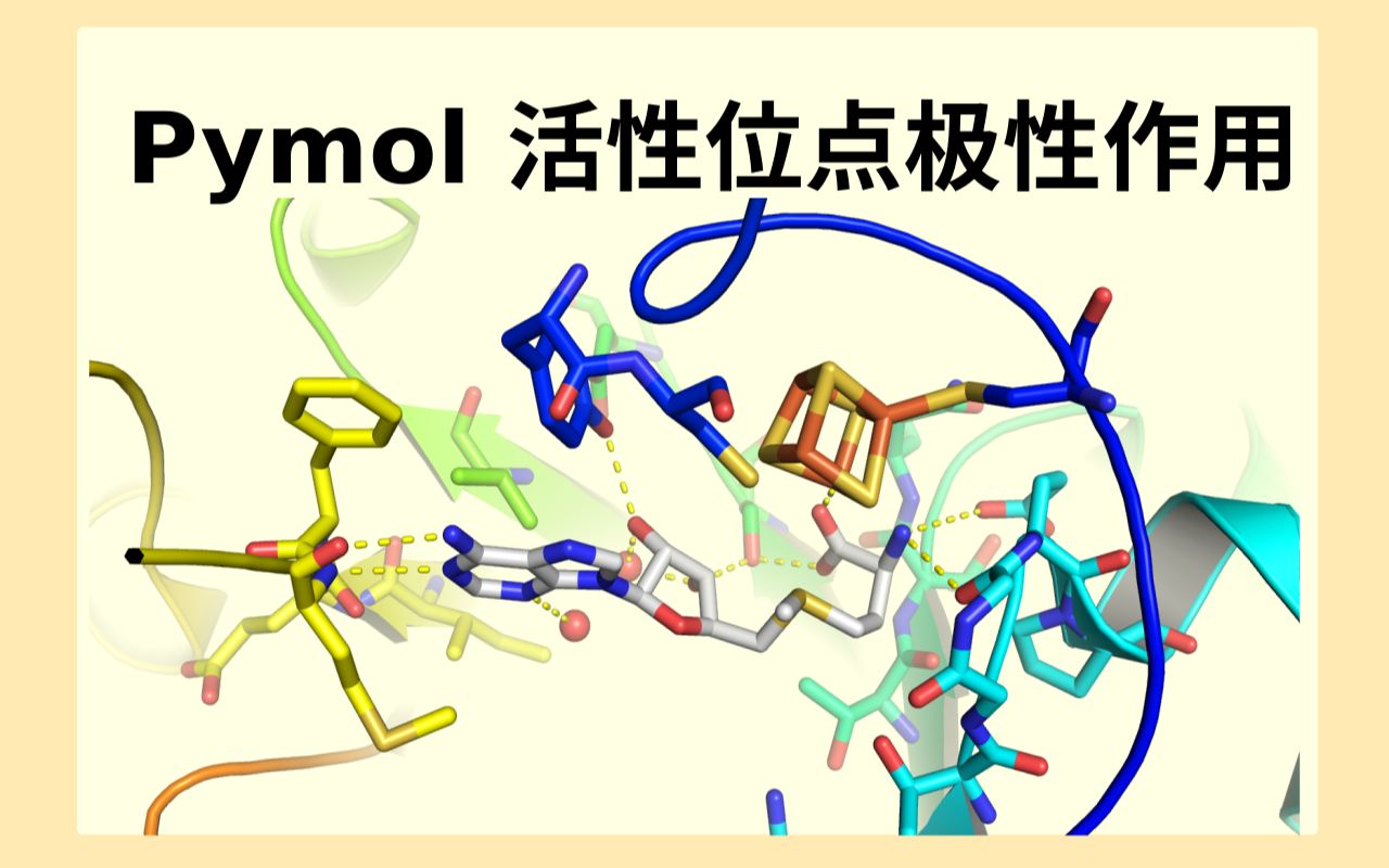 Pymol作图展示蛋白小分子极性作用