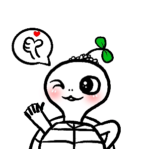 小C养龟记