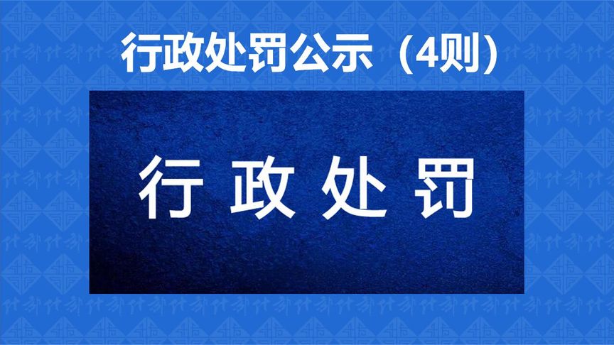行政处罚公示(4则)