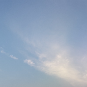 破絮非衣 