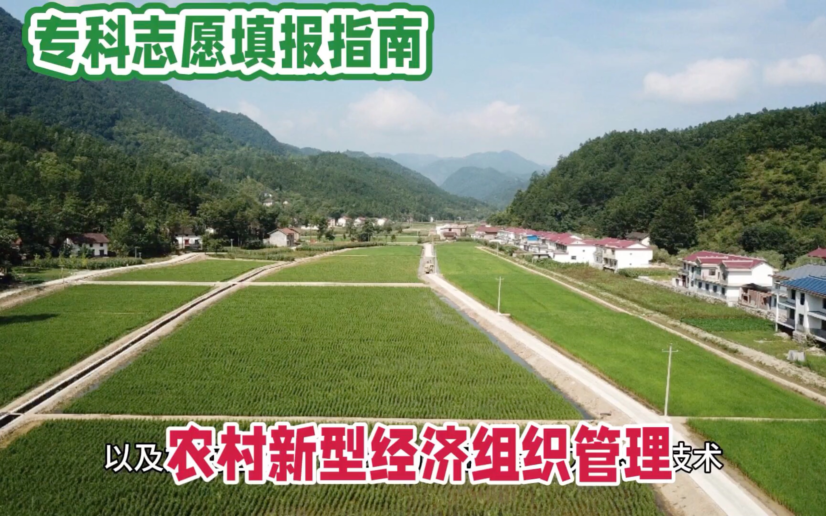 农村新型经济组织管理专业全方位解析