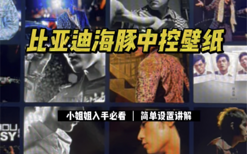 比亚迪海豚中控pad壁纸设置方法来咯!