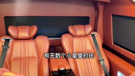 大空间豪华高端商务车丰田海狮