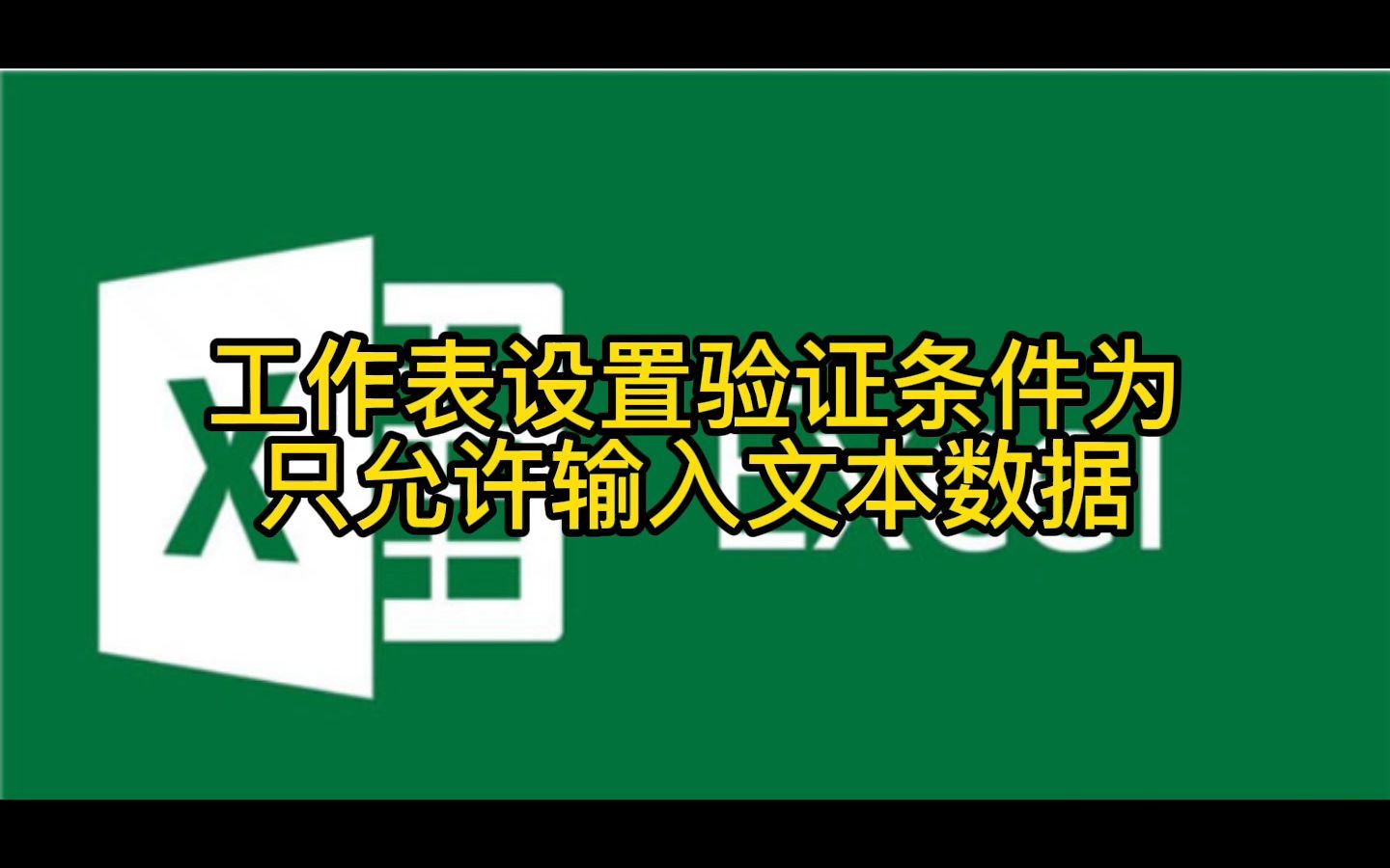 2.2.3-1工作表设置验证条件为只允许输入文本数据