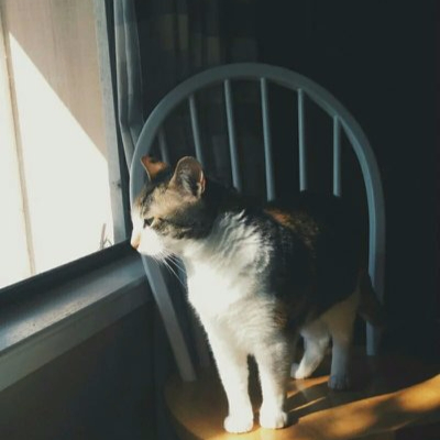 你好请叫我小吴 