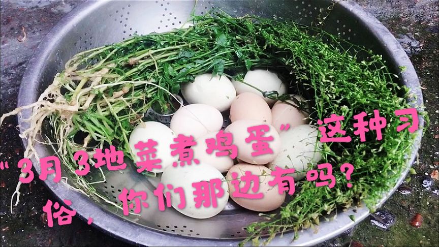3月3日地菜煮鸡蛋,一直以为是谚语,却没想到它功效如此强大