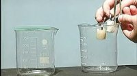 二氧化碳性质的系列实验视频