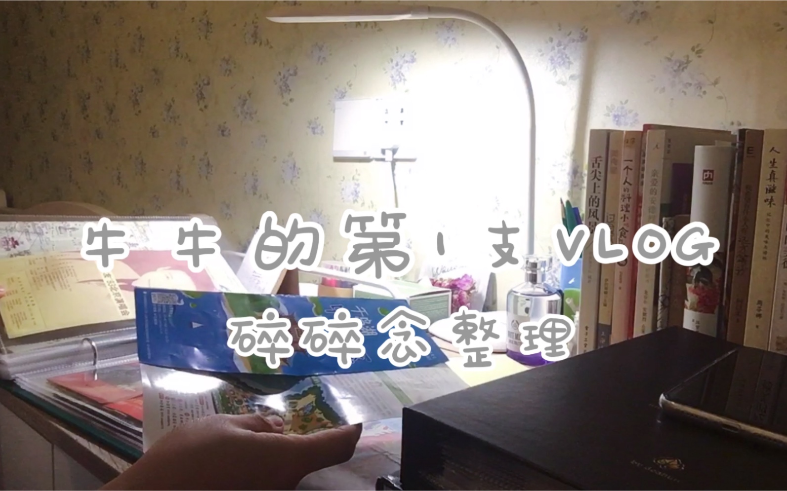 牛牛的碎碎念-整理家庭旅行票据 Vlog No.1