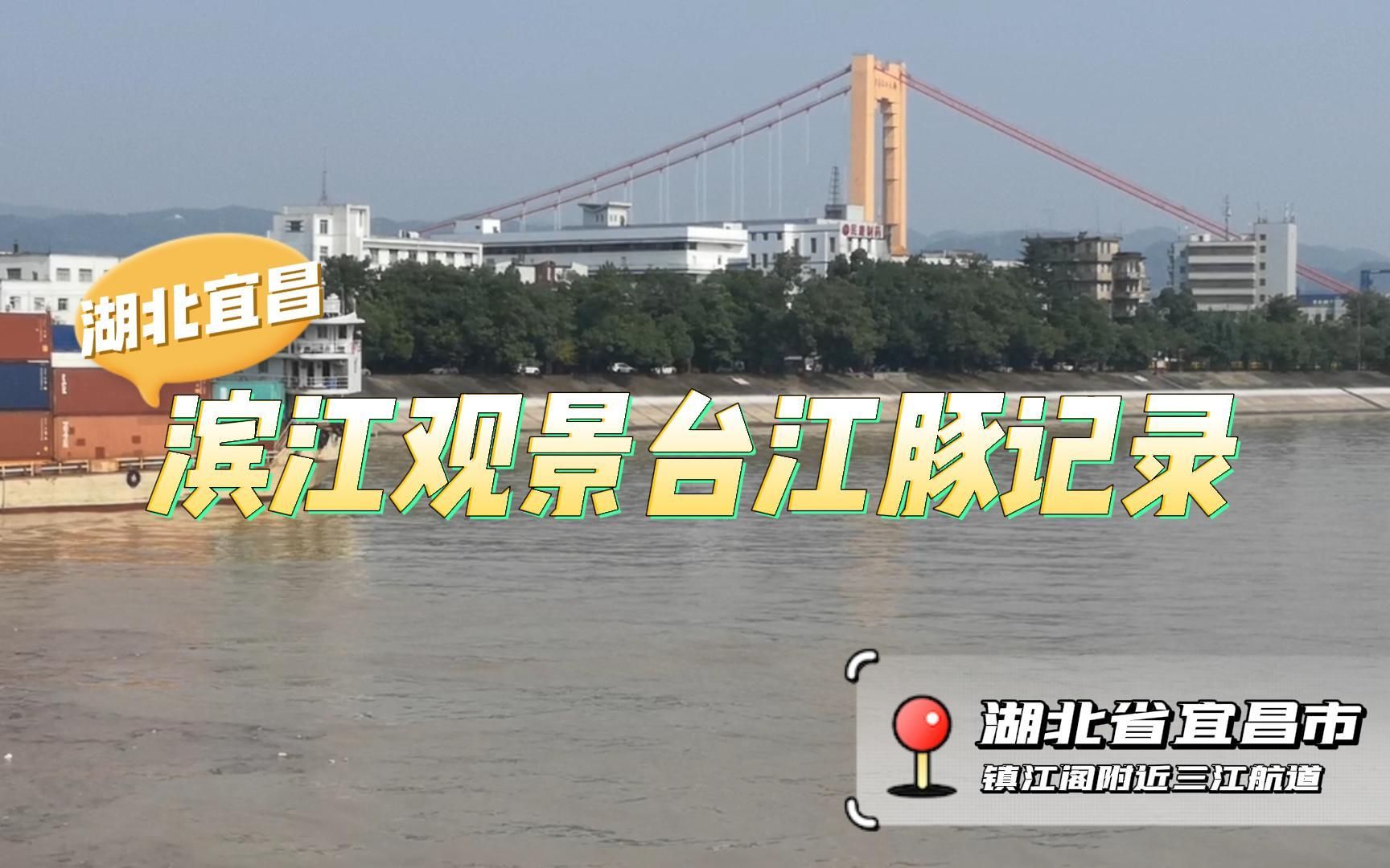 【世界地球日】湖北宜昌江豚个人摄影合集,关注环境保护。