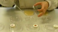 微生物稀释技术演示