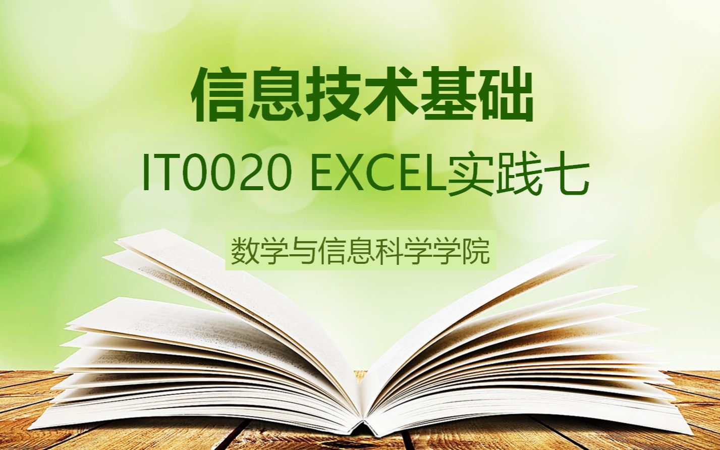 IT0020 EXCEL实践七