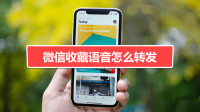 微信收藏语音怎么转发
