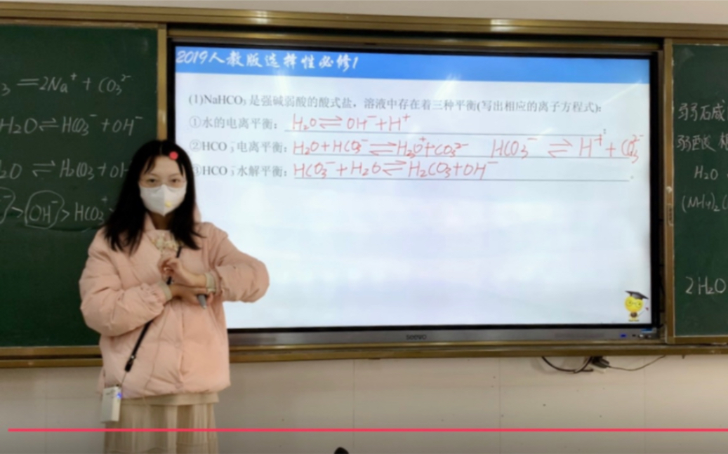 盐类的水解(第二课时)