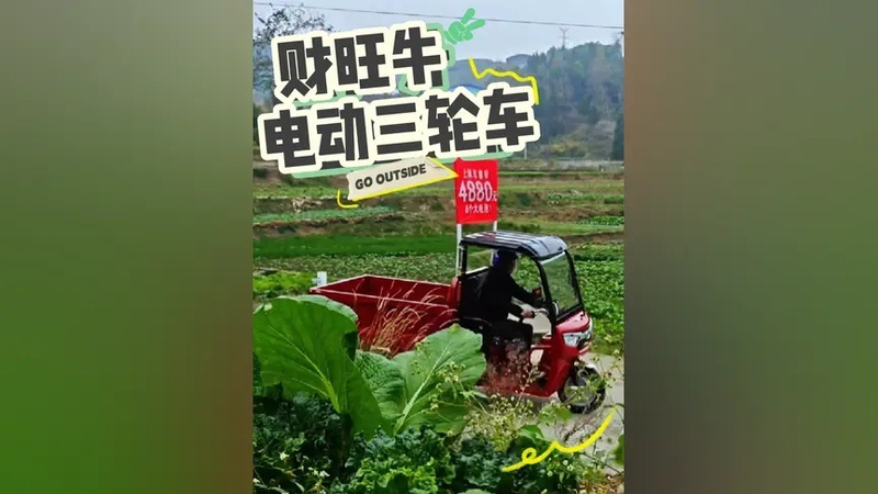 财旺牛 电动三轮车,是您出行与载货的好帮手!