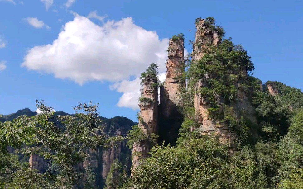 张家界武陵源区杨家界风景区
